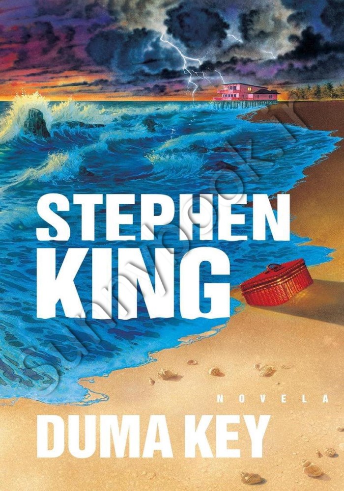 Duma Key کتاب ،Duma Key